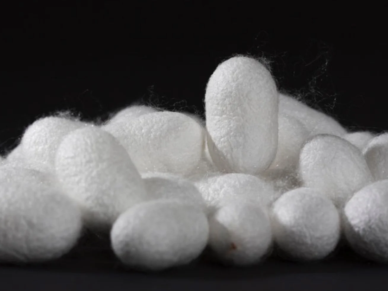 swiss silk — Fibershed DACH