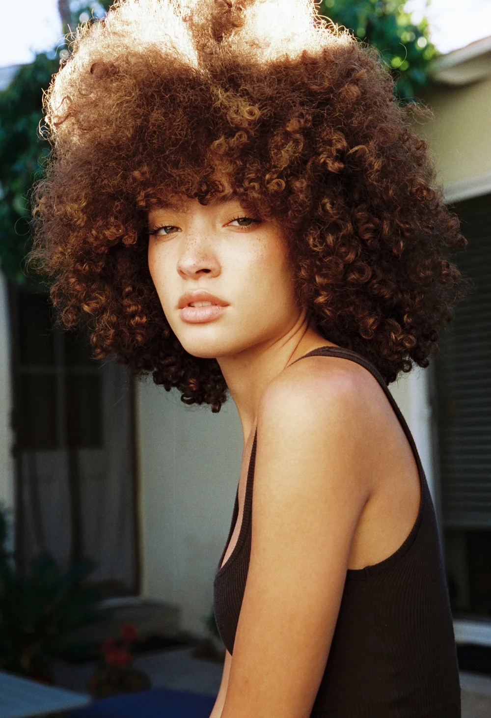 Gallery 3 — Mutha