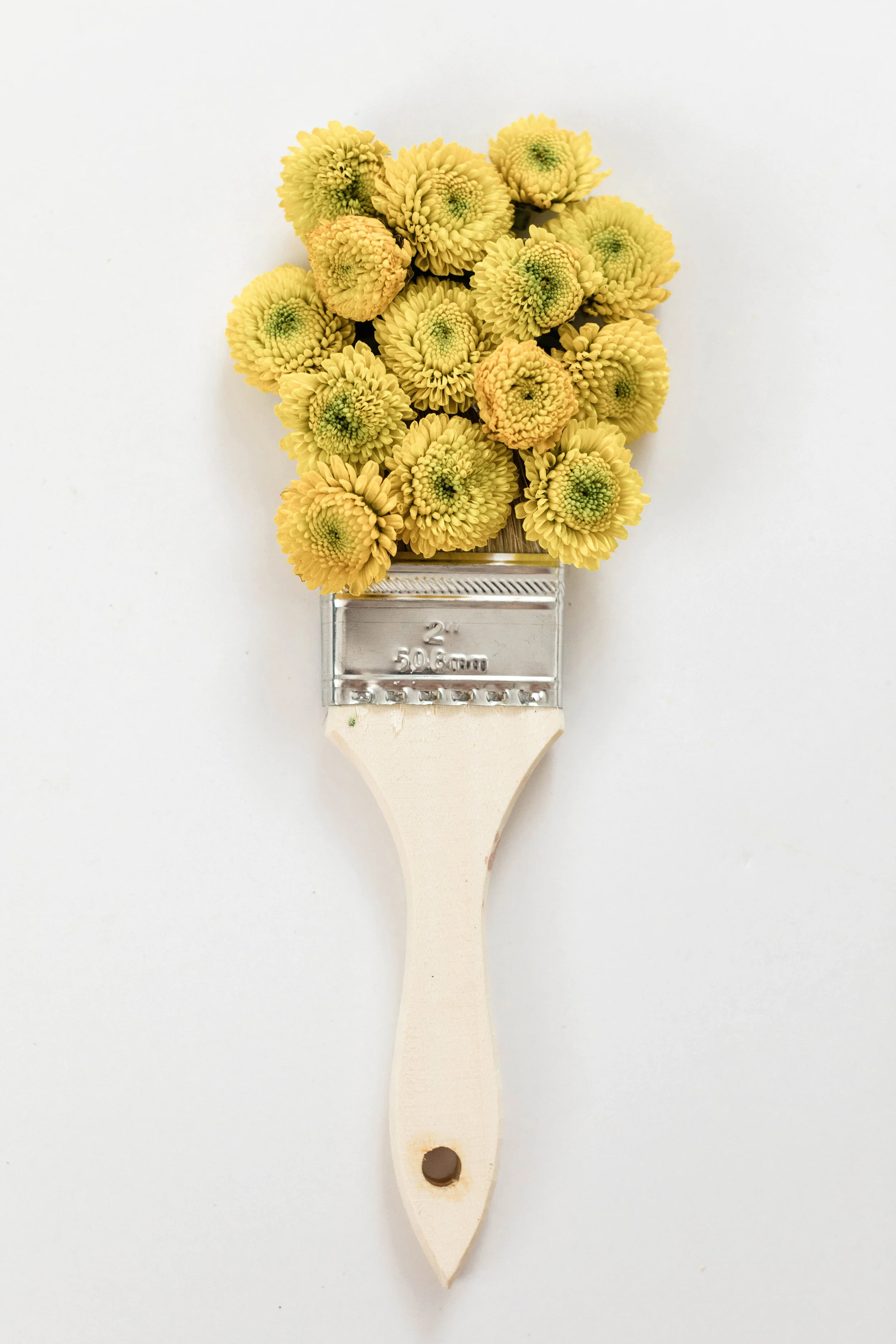 Still Life Painting Easy — Jackie Partridge Art