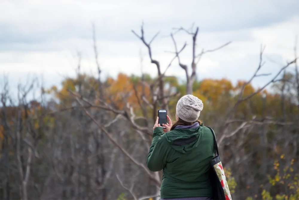 Tips For Planning Jackie Partridge Art