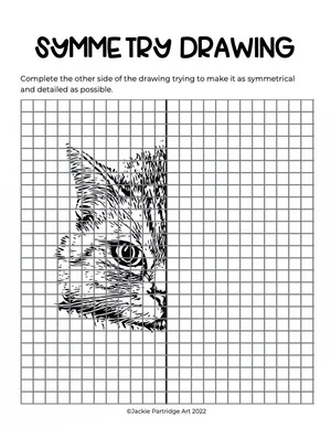 Symmetry Drawing Book — Jackie Partridge Art