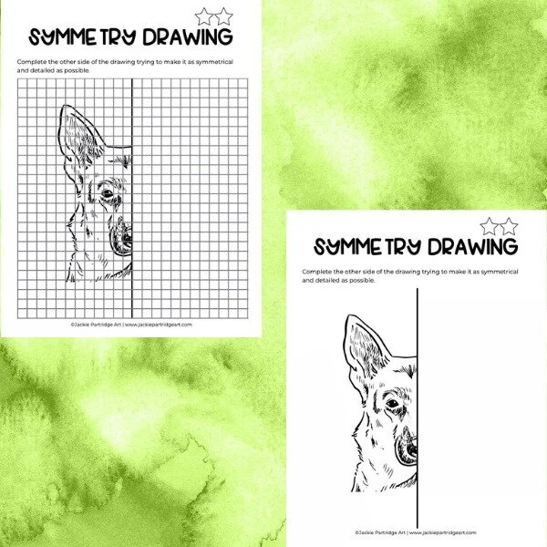 Symmetry Drawing Book — Jackie Partridge Art