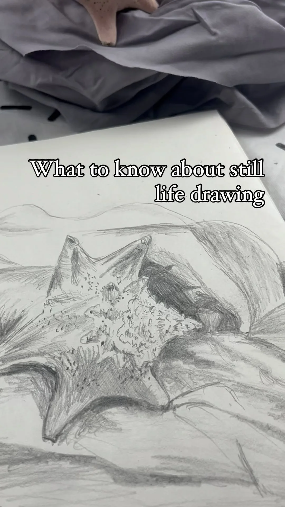 Symmetry Drawing Book — Jackie Partridge Art