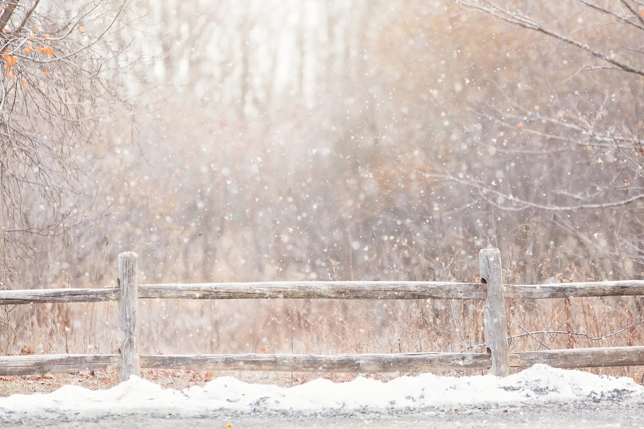 How to Paint Snow Easy — Jackie Partridge Art