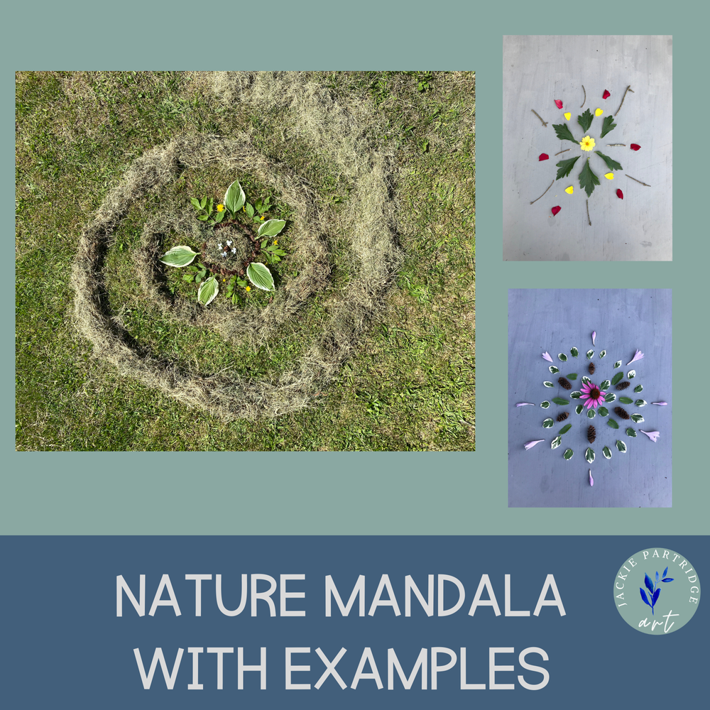 Why Mandalas in Nature are Important — Jackie Partridge Art
