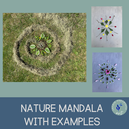 Nature Art Lesson — Jackie Partridge Art