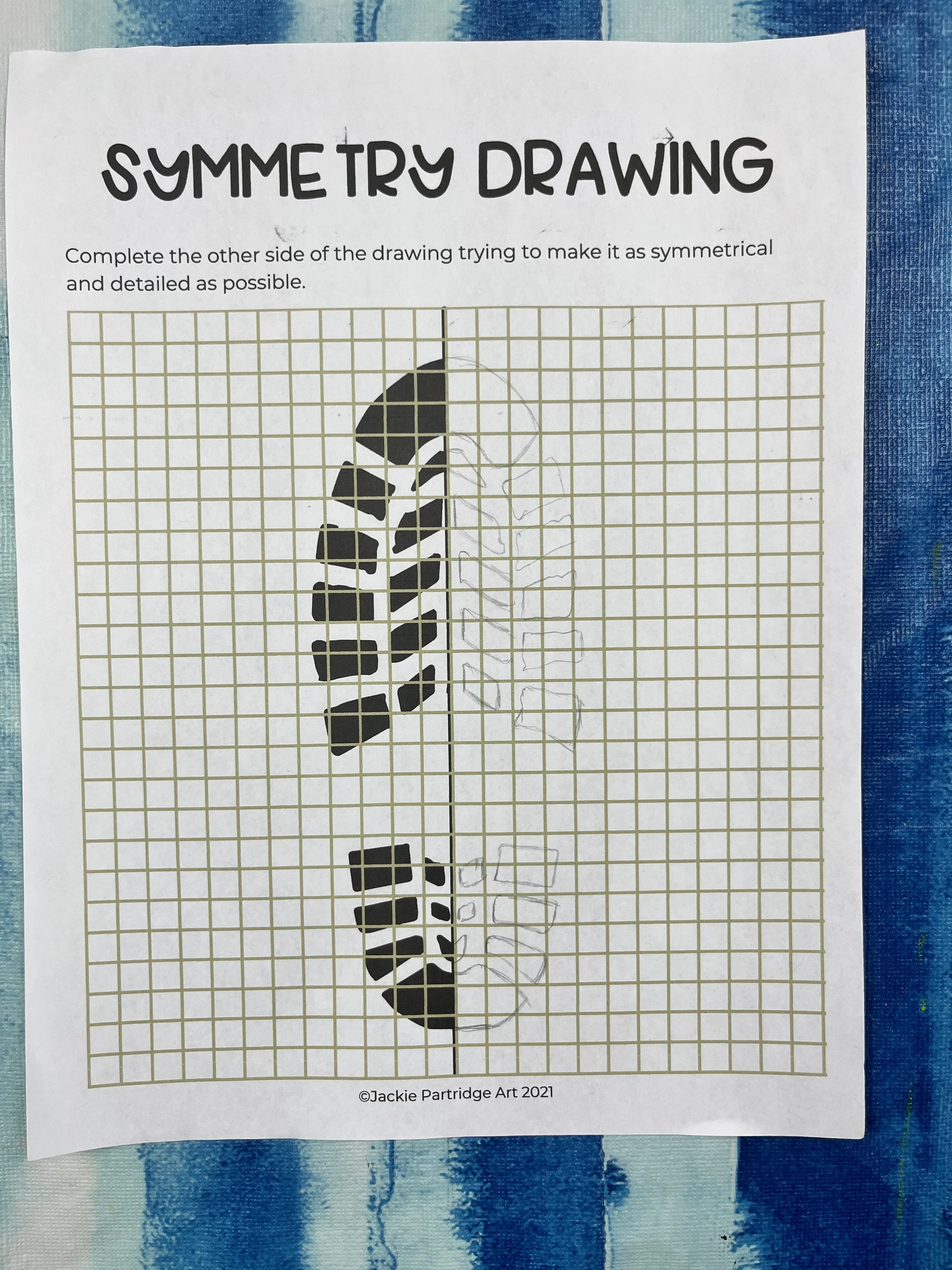 Symmetry Drawing Worksheet — Jackie Partridge Art