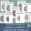 Why Mandalas in Nature are Important — Jackie Partridge Art