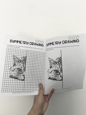 Symmetry Drawing — Jackie Partridge Art