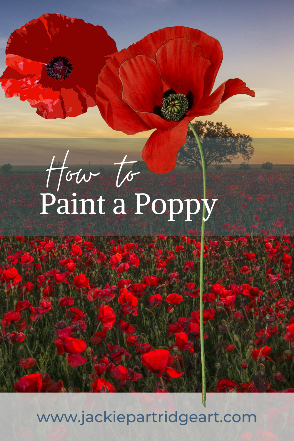 Poppy Art for Students — Jackie Partridge Art