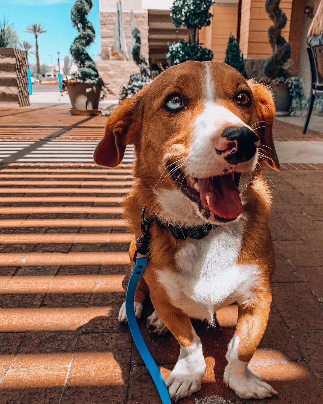 Employment — LeBuzz Caffe