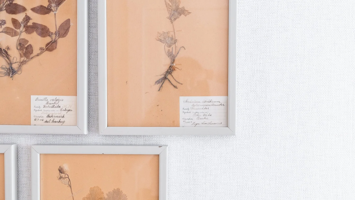 Gallery — White Moose Inn