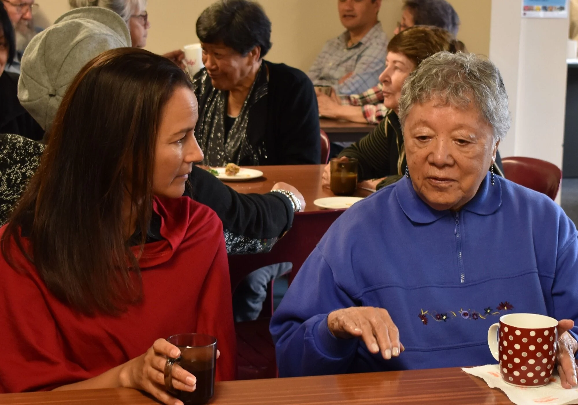Centre for Indigenous Psychologies