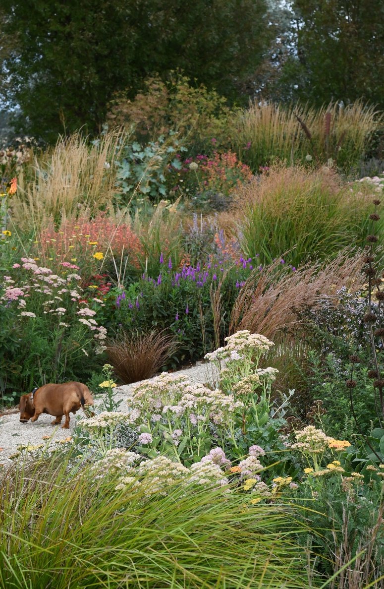 Wander the Garden — The Garden Curator
