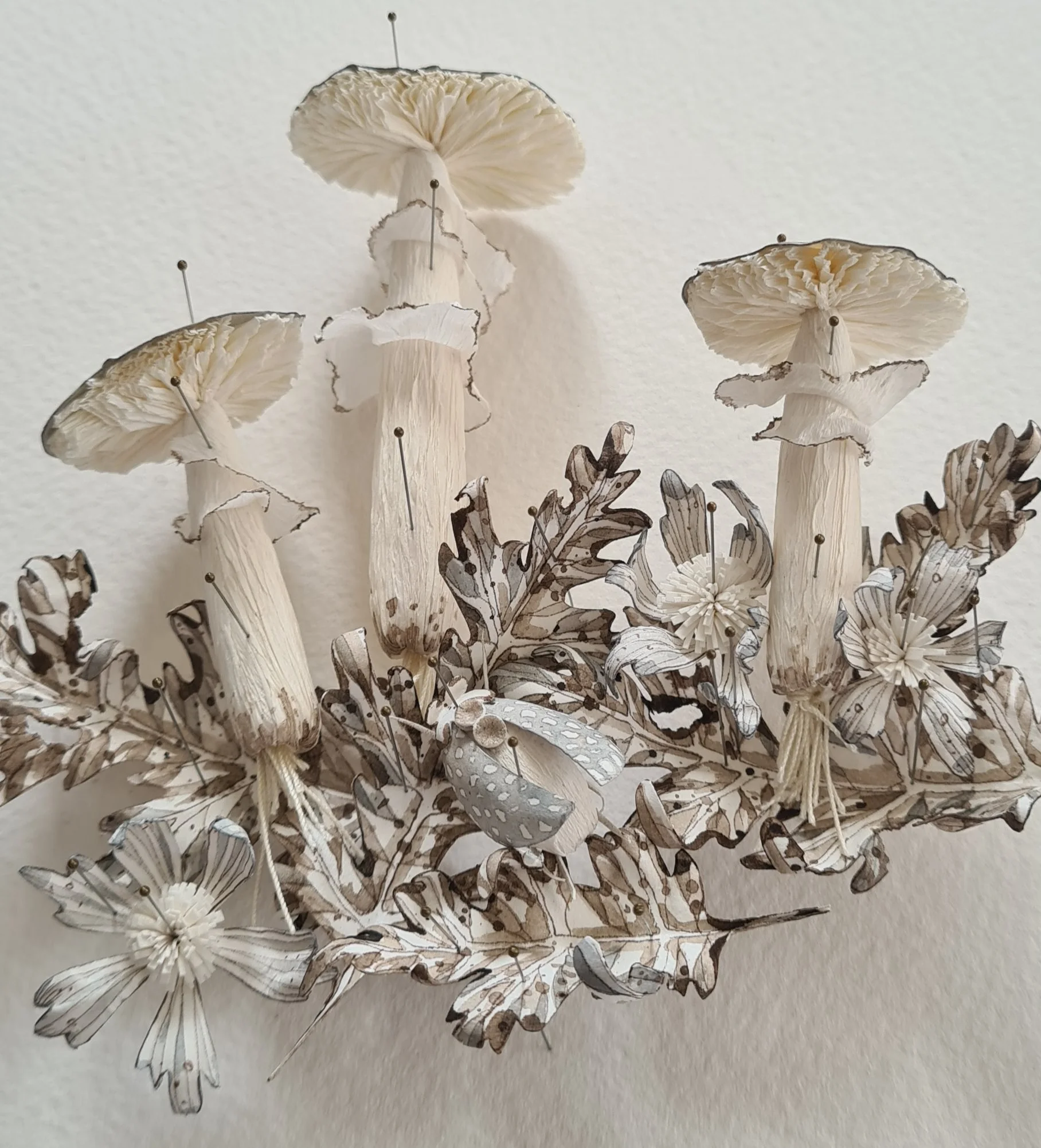 Shop — The Garden Curator