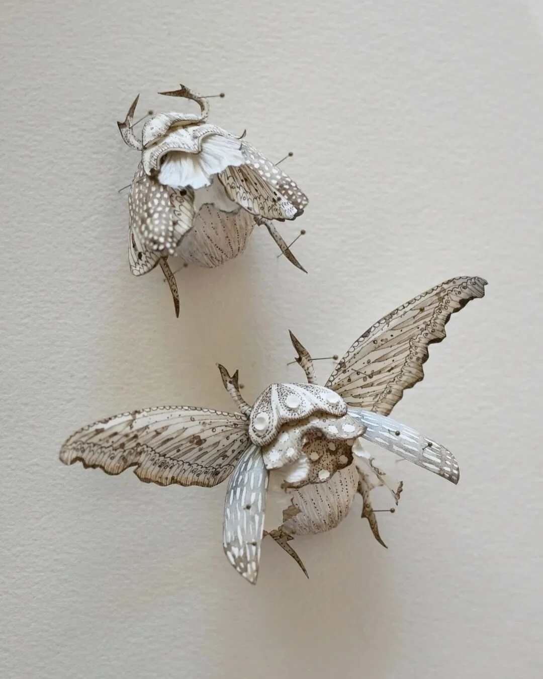 The Garden Curator - Colleen Southwell, artist and garden maker