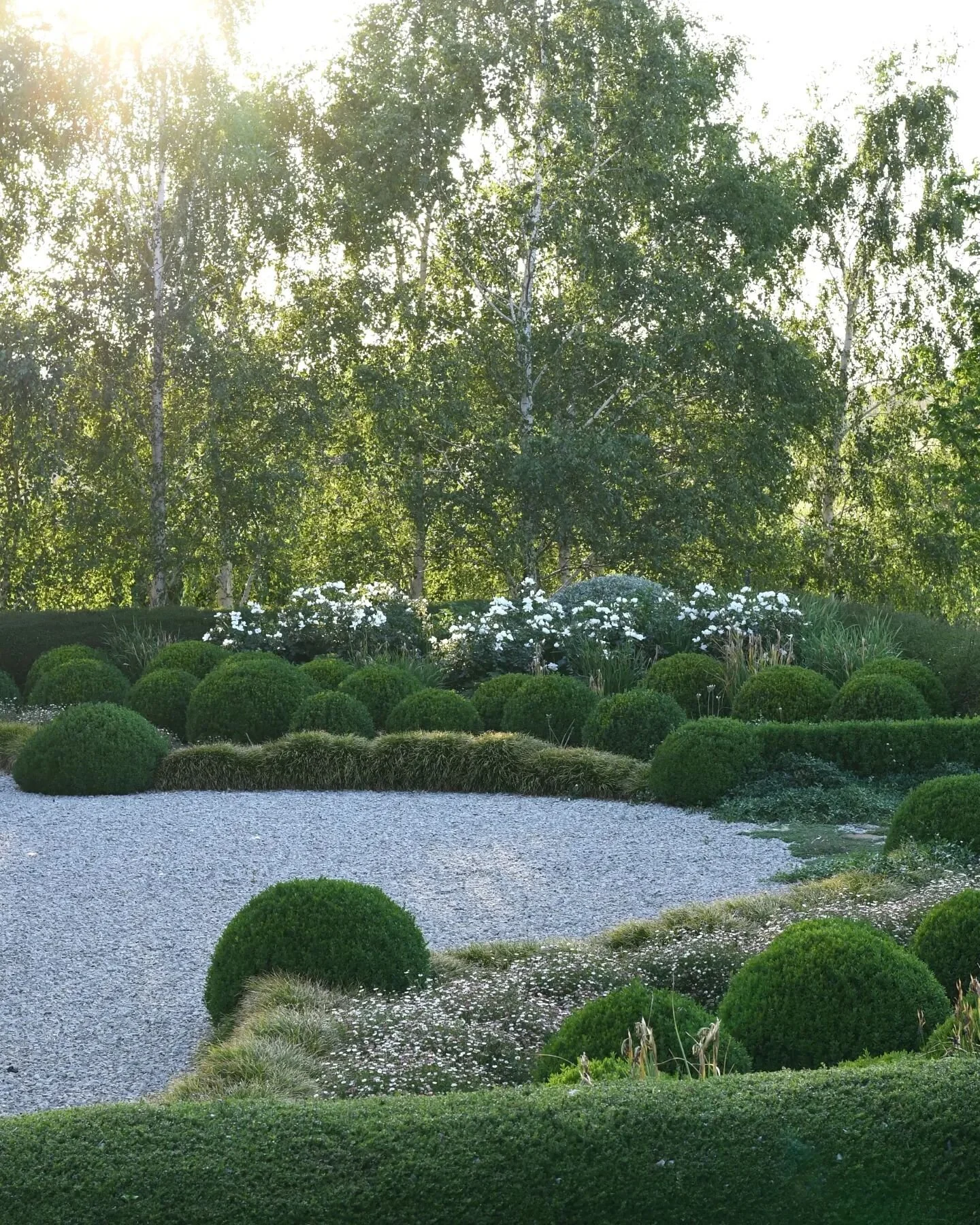 The Garden Curator - Colleen Southwell, artist and garden maker