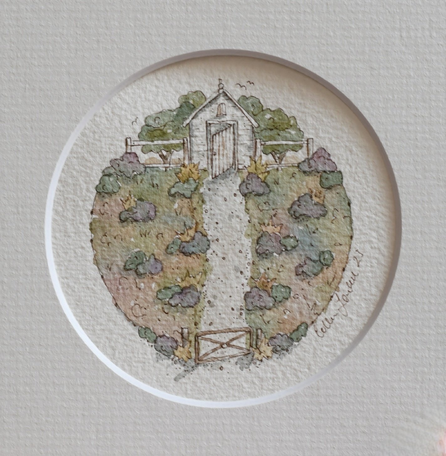 Jewel Box - Beetle — The Garden Curator