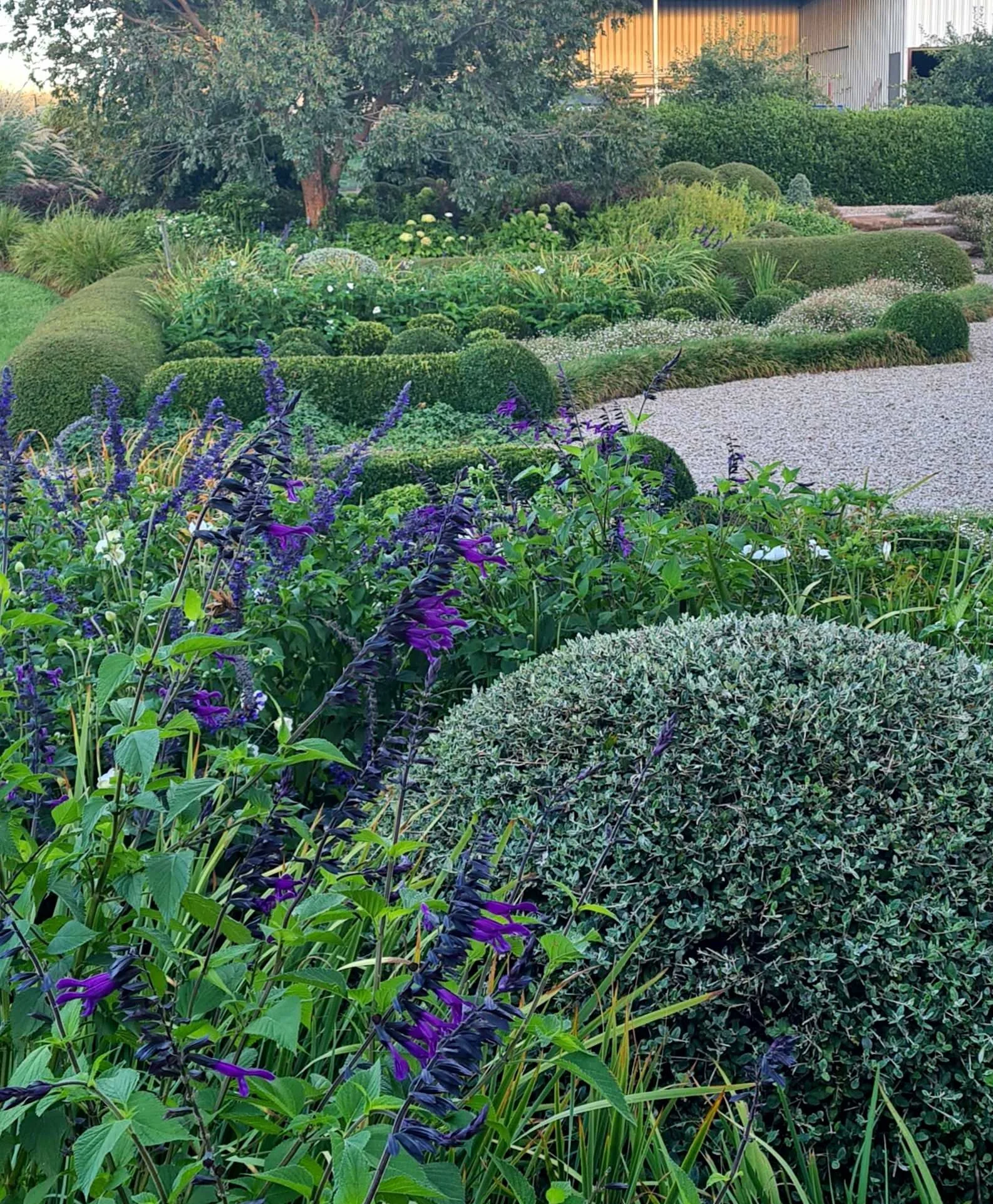 Wander the Garden — The Garden Curator
