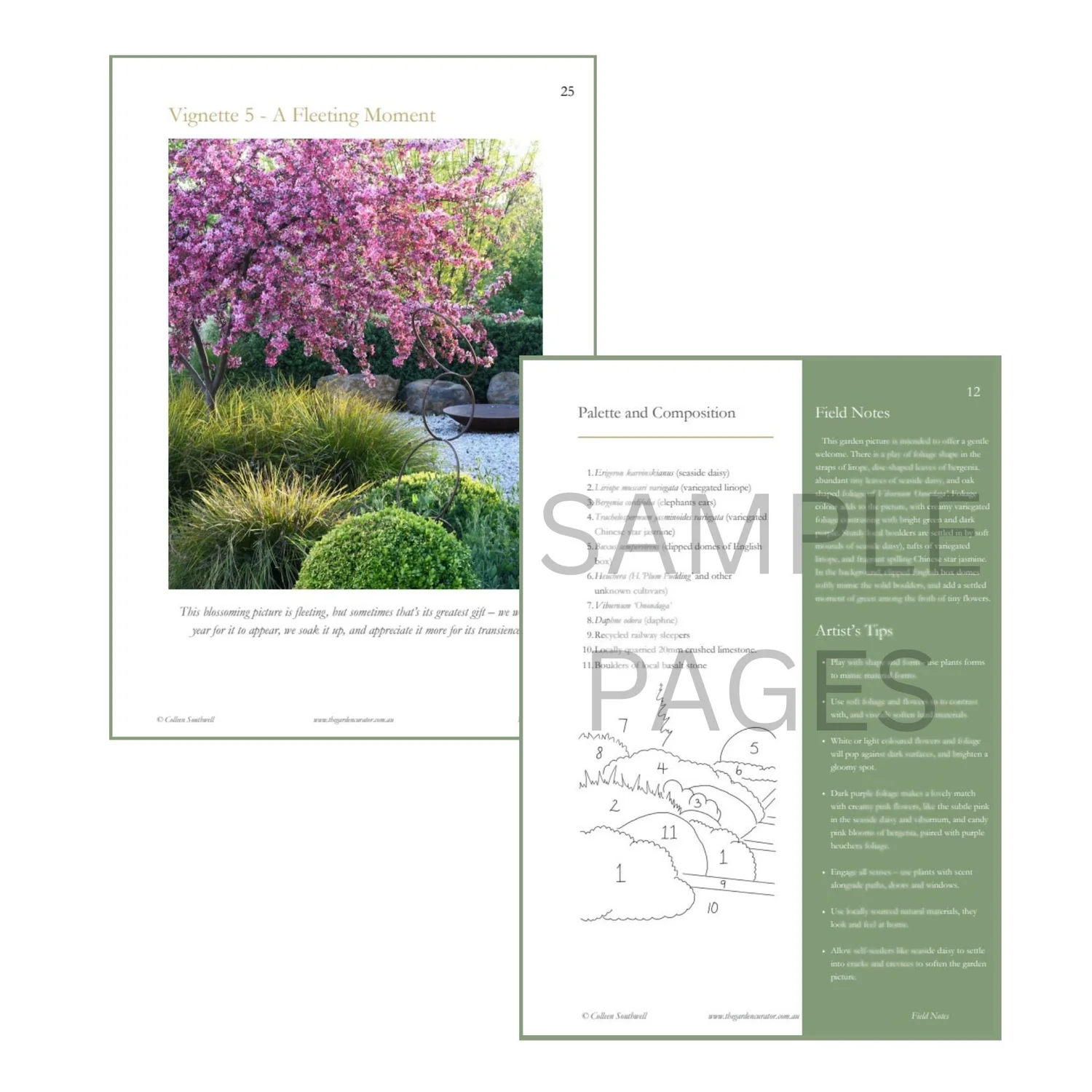 Shop from The Studio & Garden — The Garden Curator