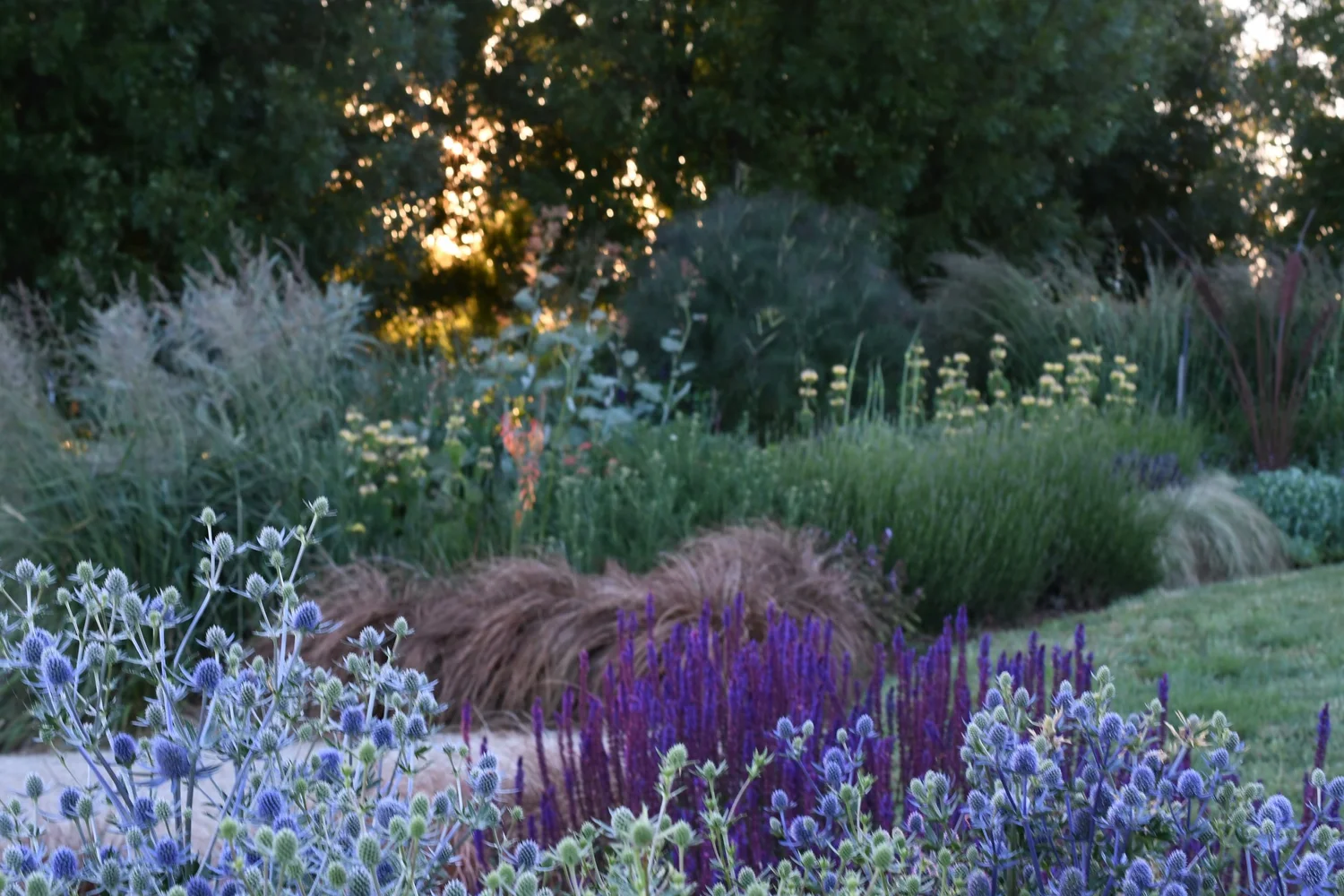 Wander the Garden — The Garden Curator