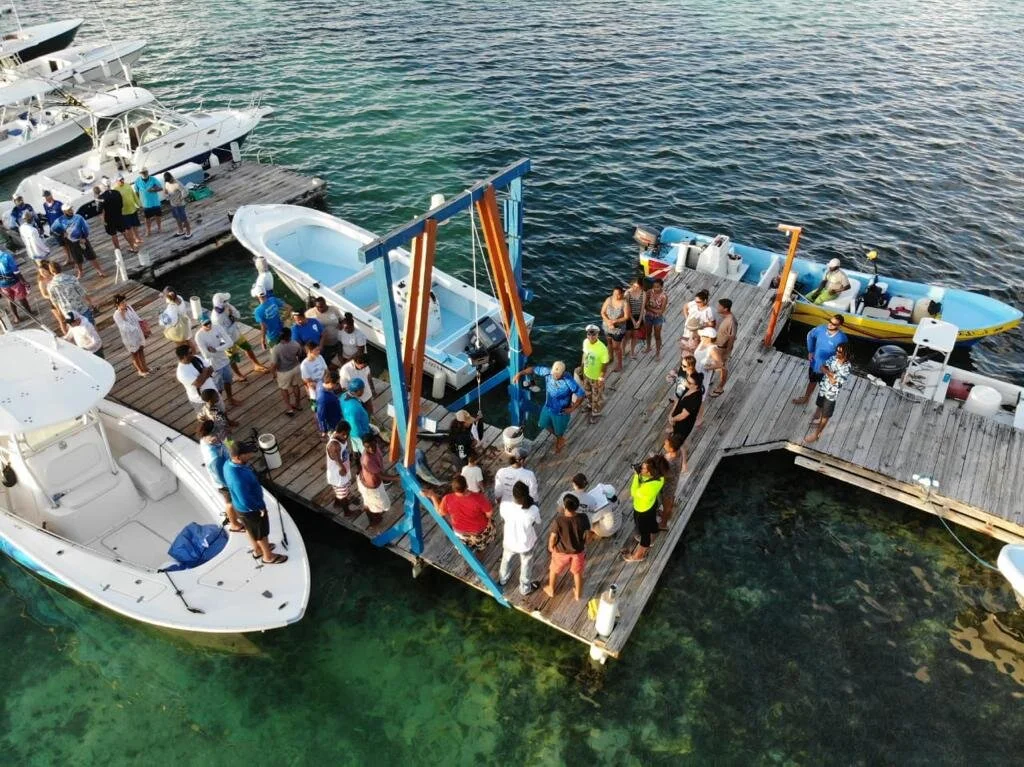 Belize Fishing Tournaments — BGFA