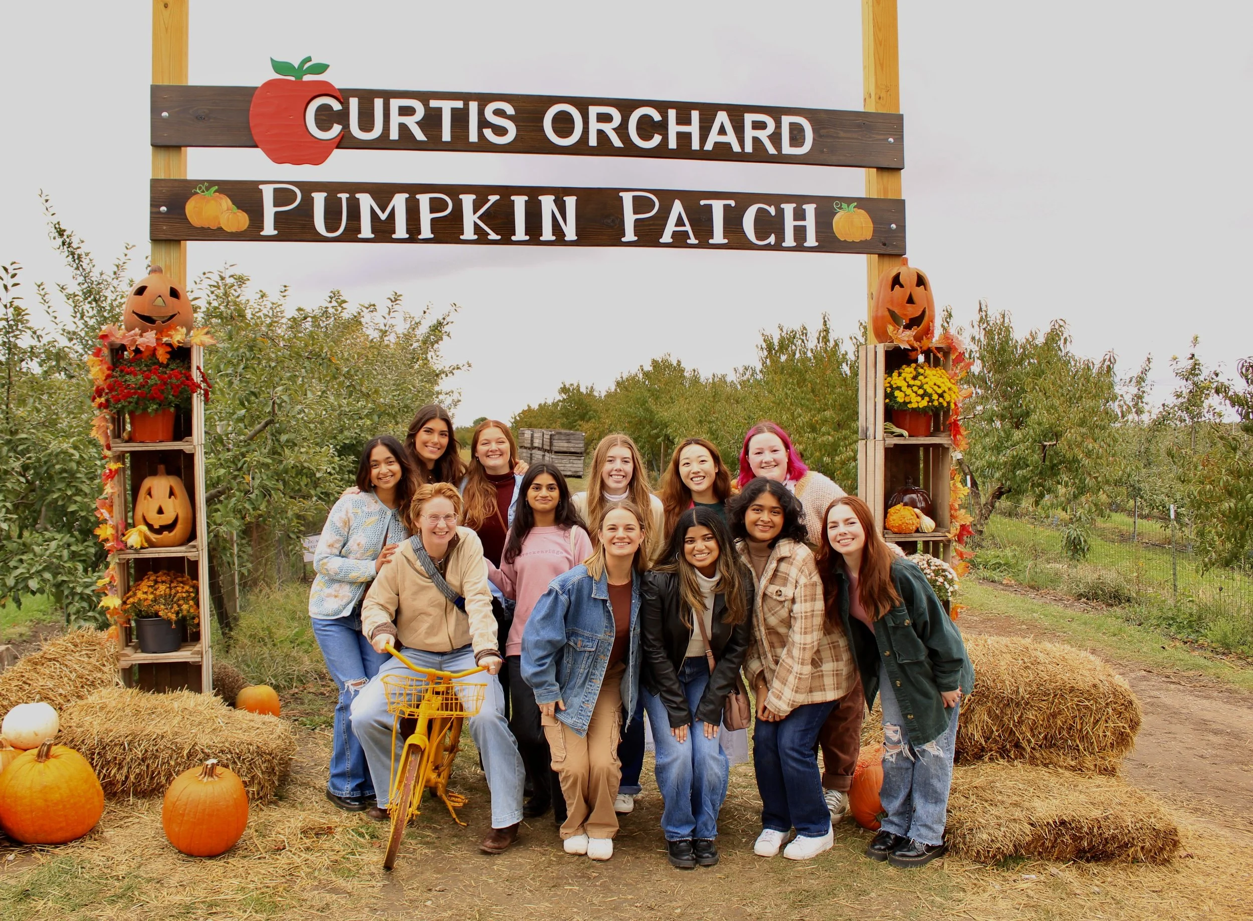 The Illinois Rip Chords