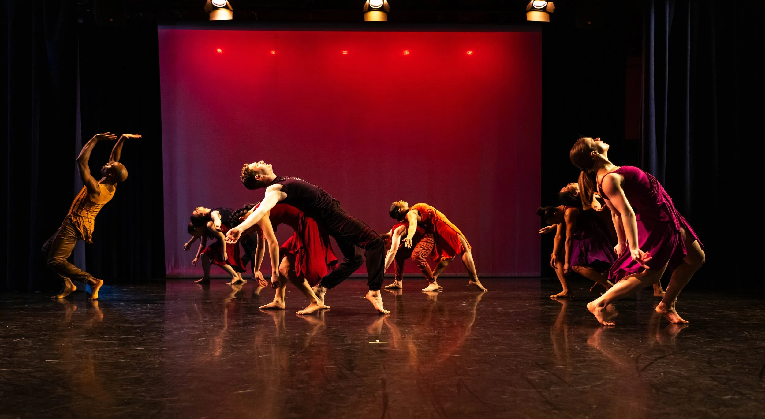 Our Team — Dance New Jersey