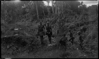 Georges War — Dr Juanita Muller