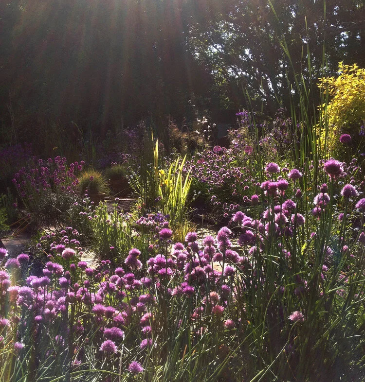 Large Gardens — PATRICK FEATHERSTONE