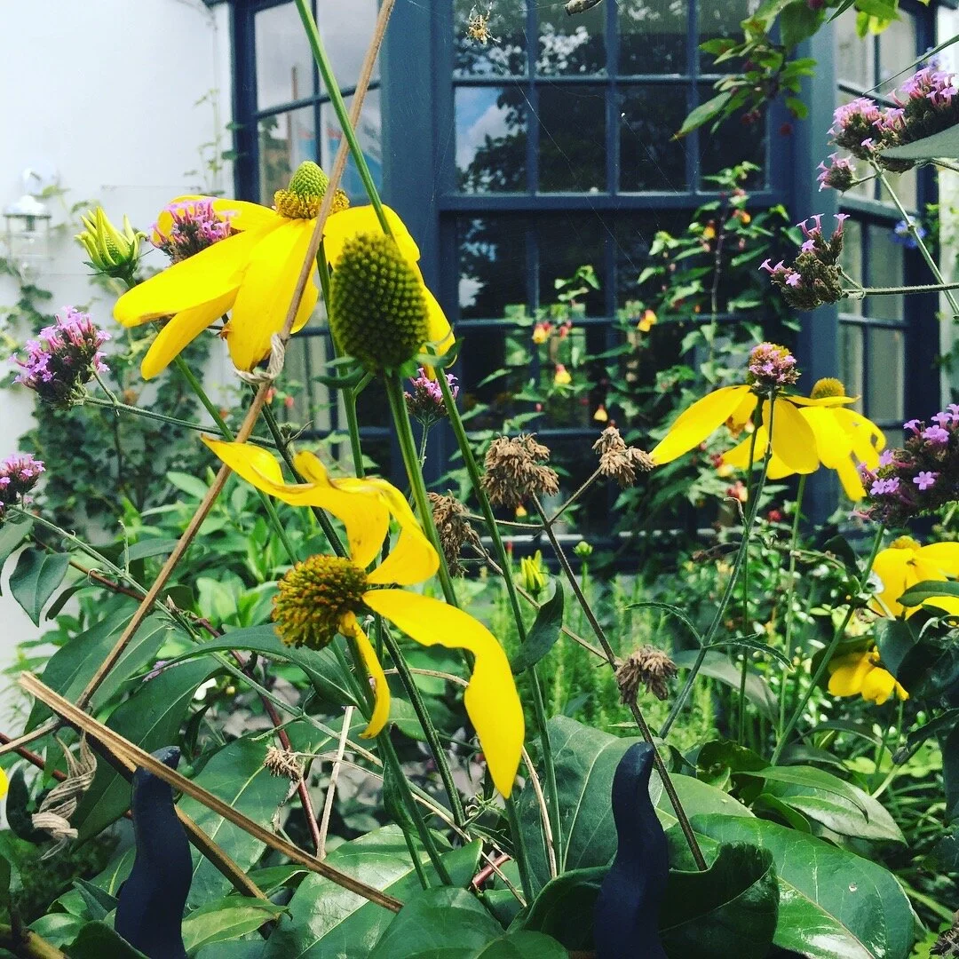 Small Gardens — PATRICK FEATHERSTONE