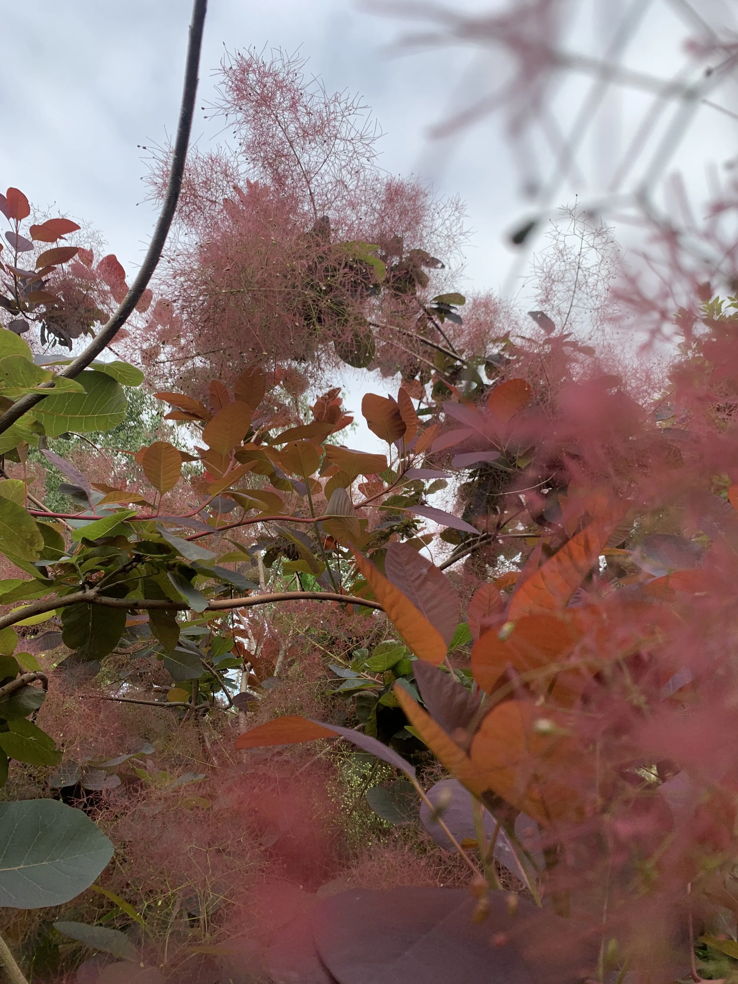 PATRICK FEATHERSTONE