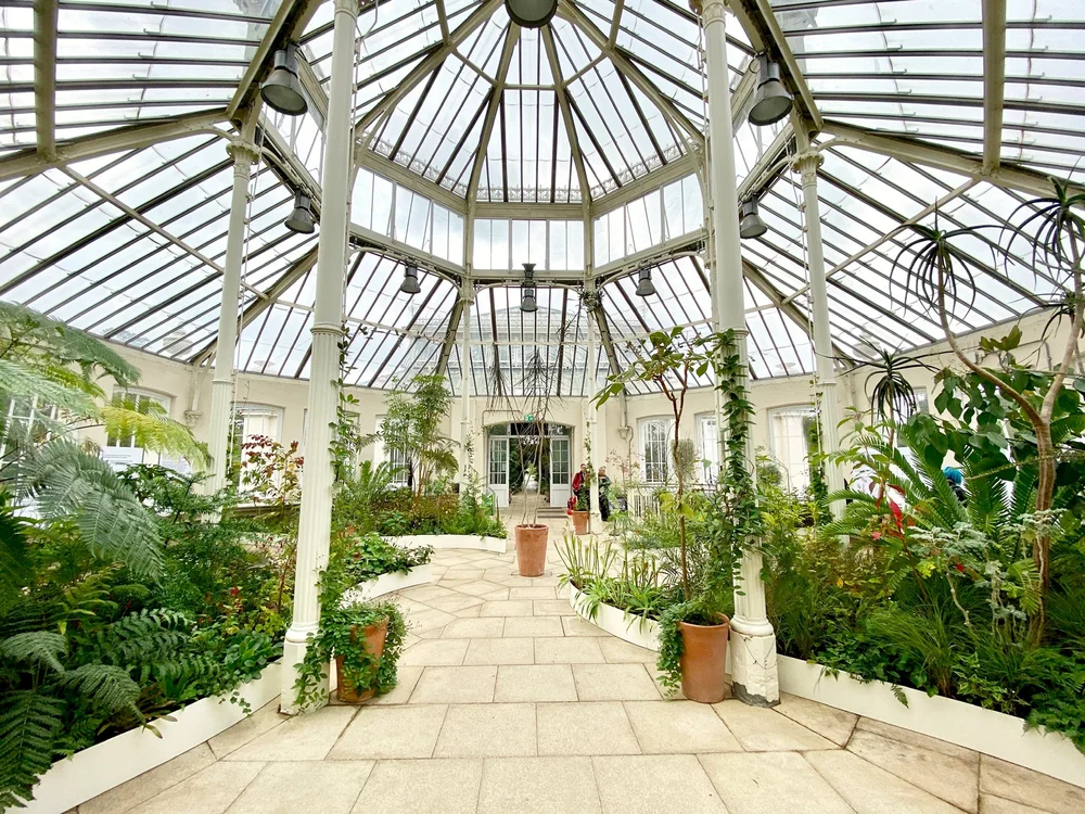 PATRICK FEATHERSTONE