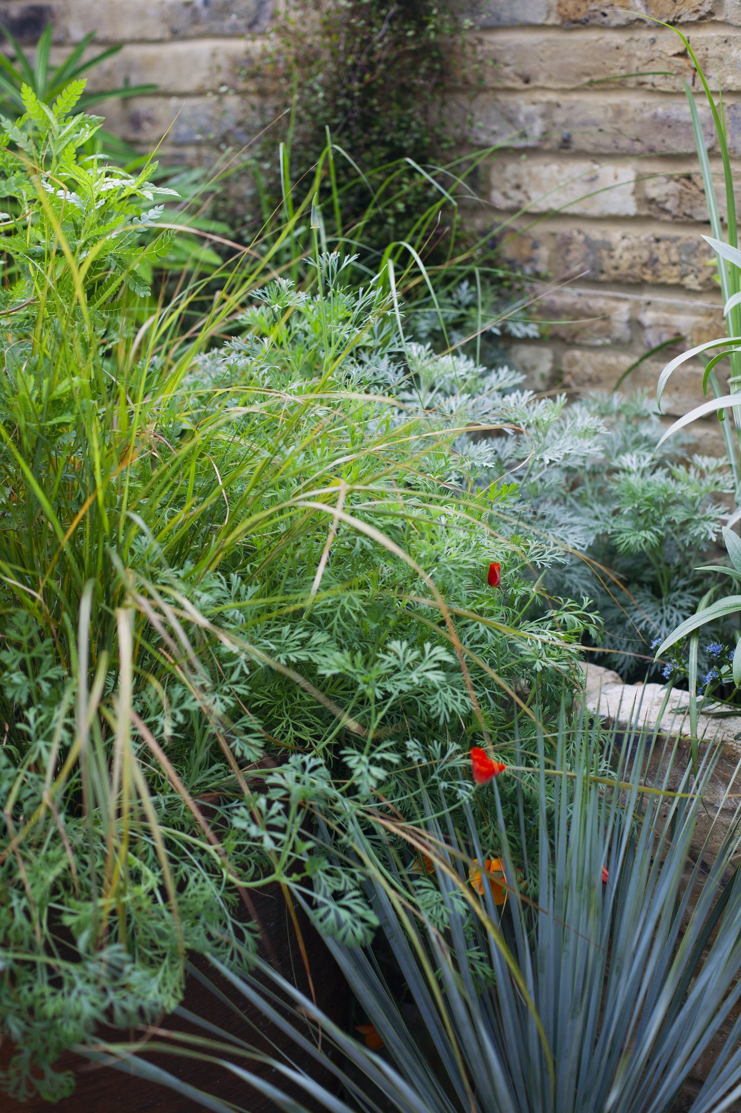 Hayter Road — PATRICK FEATHERSTONE