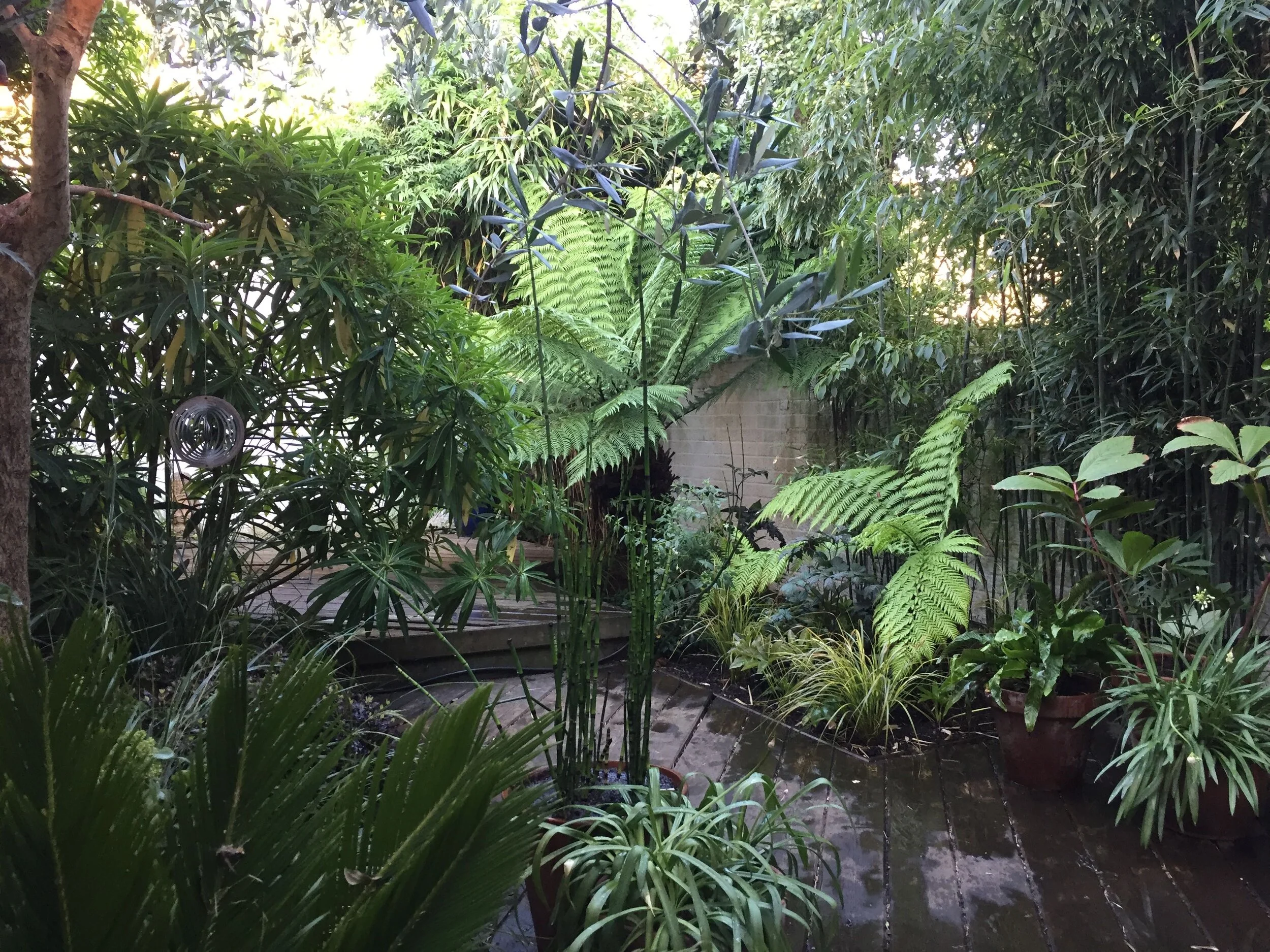 PATRICK FEATHERSTONE