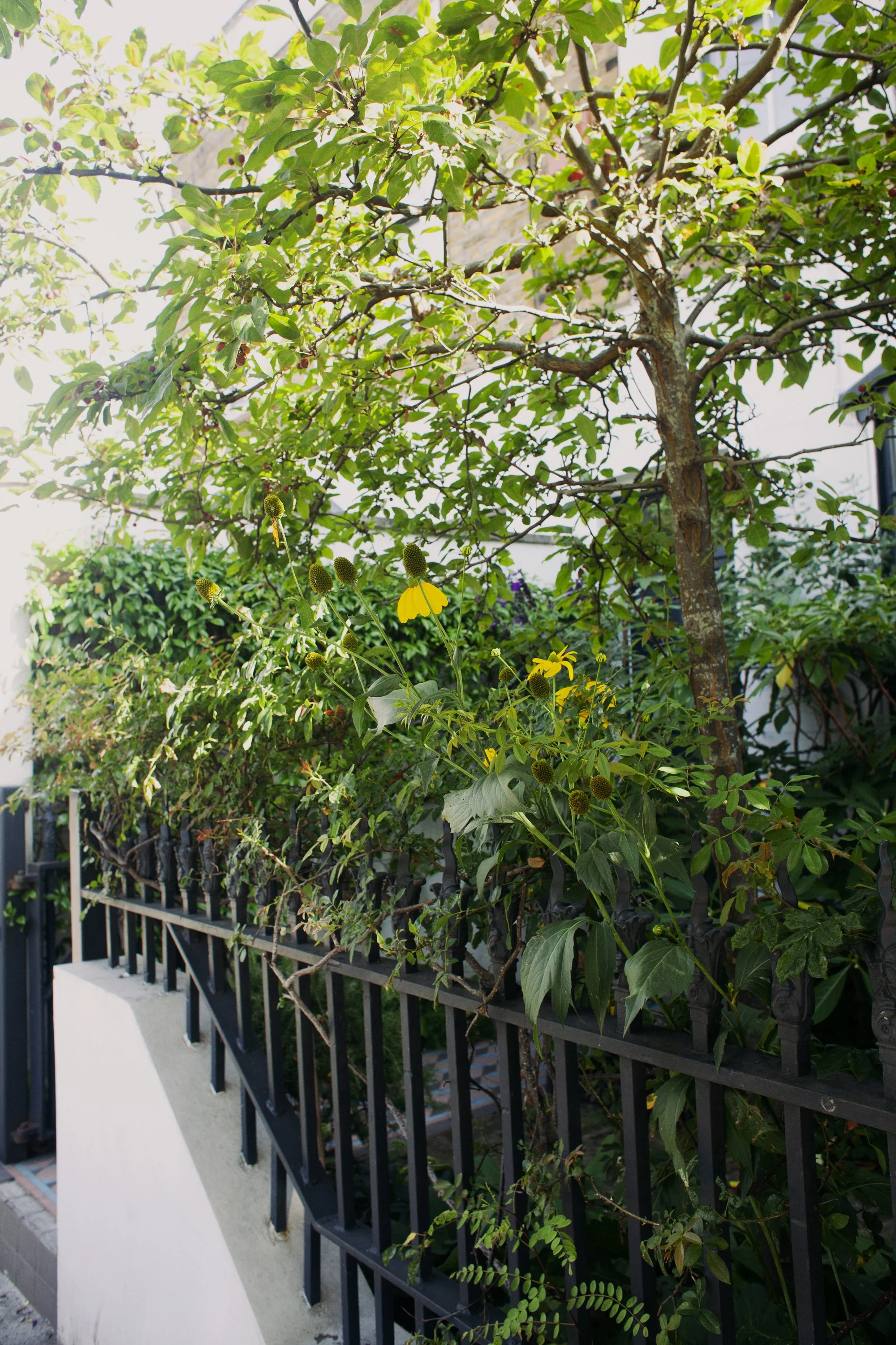 PATRICK FEATHERSTONE