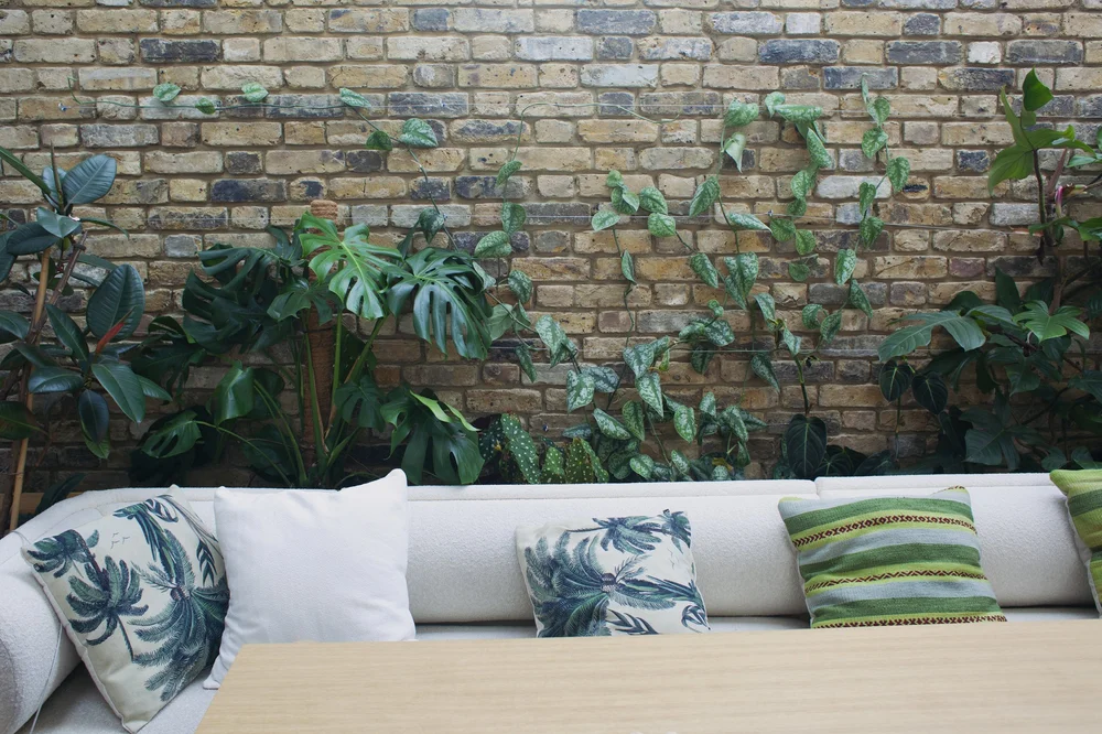 Hayter Road — PATRICK FEATHERSTONE