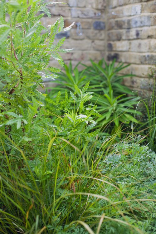 Hayter Road — PATRICK FEATHERSTONE