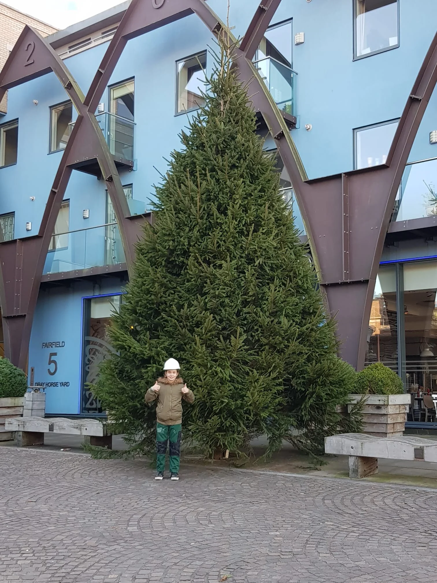 Big Christmas Trees — The Big Christmas Tree Company