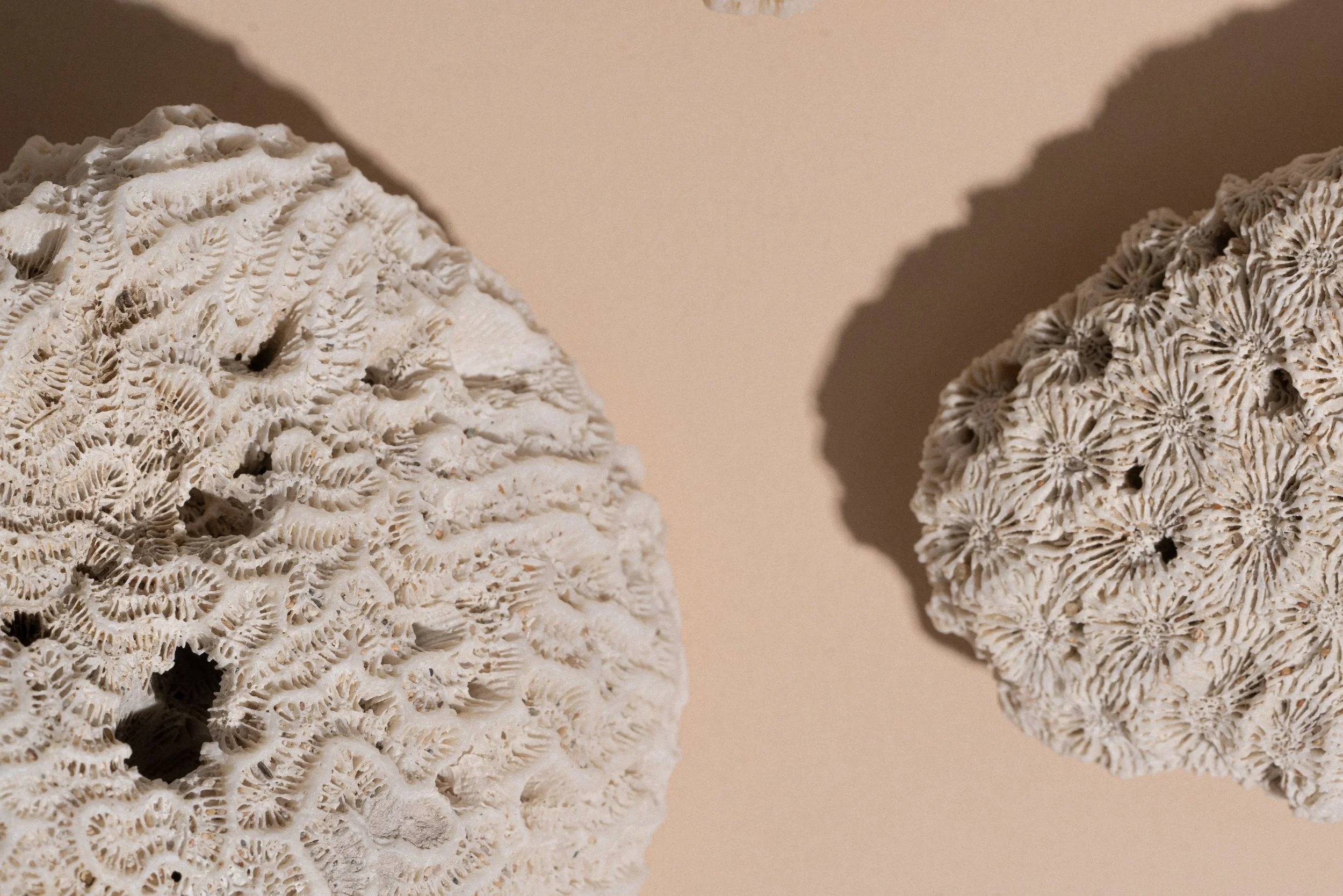 About - Contractor and Design Services in Sarasota, FL - Graber Co ...