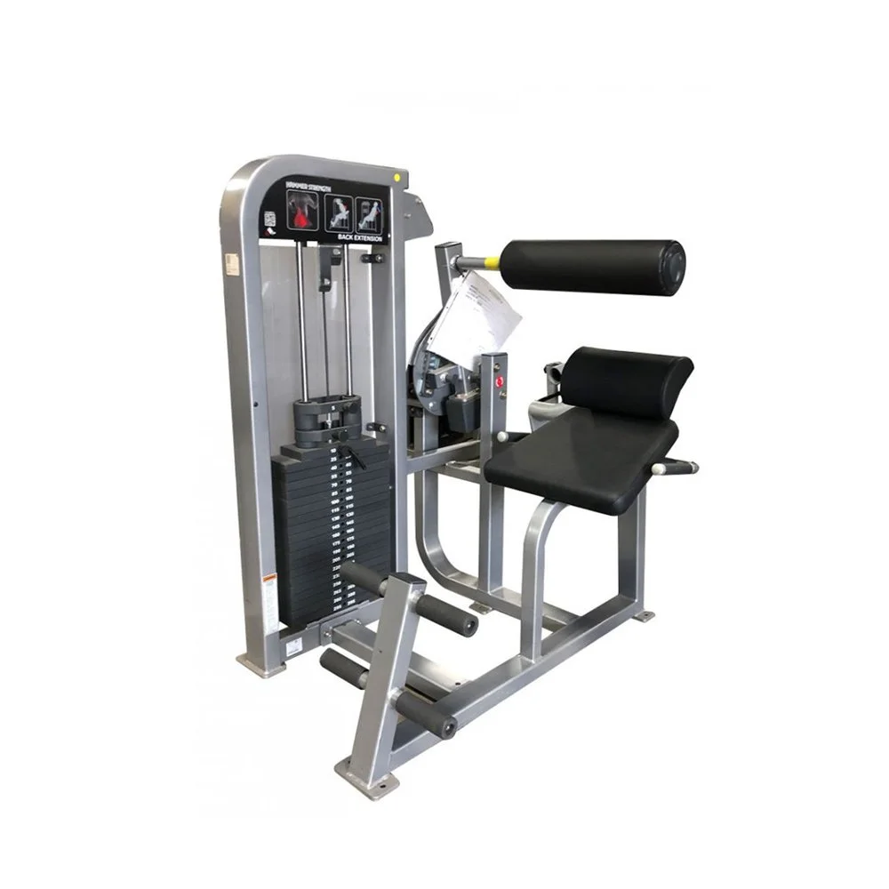 Preowned Hammer Strength/Life Fitness Pro2 Selectorized Back Extension ...