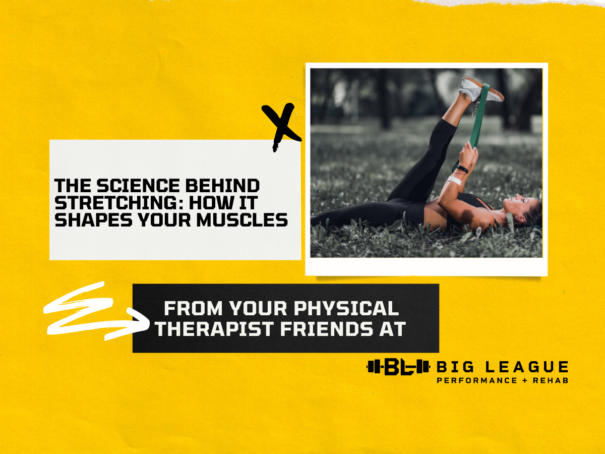 The Science Behind Stretching: How It Shapes Your Muscles - Washington ...