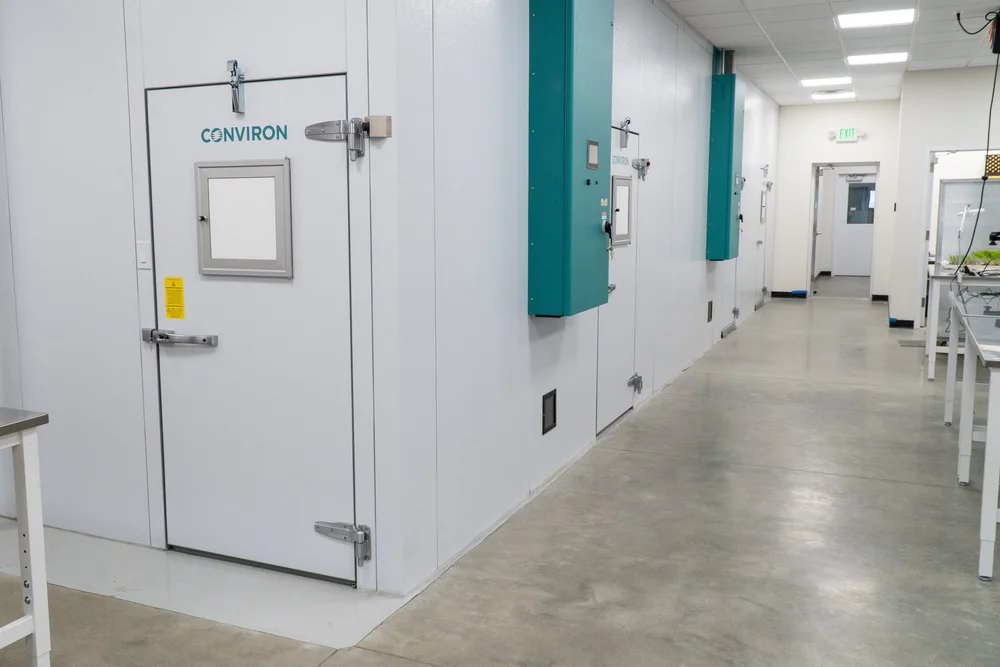 Wyffels Hybrids builds QA lab, creates new roles and adds new employees ...