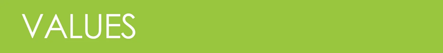 Our Values Matter — LifeWays