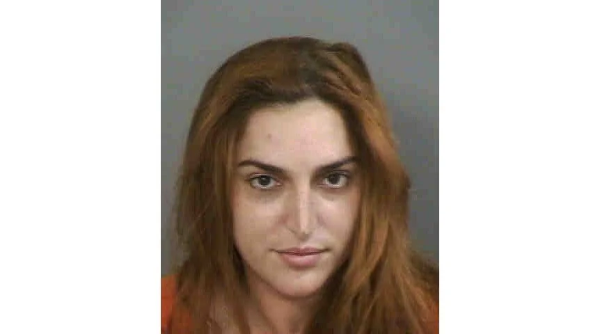 Christy McLaughlin, SWFL conservative activist, candidate, arrested for ...