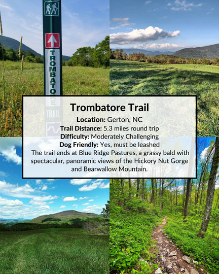 Best Hikes in Gerton, North Carolina — Travel Guides Asheville