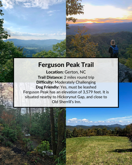 Best Hikes in Gerton, North Carolina — Travel Guides Asheville