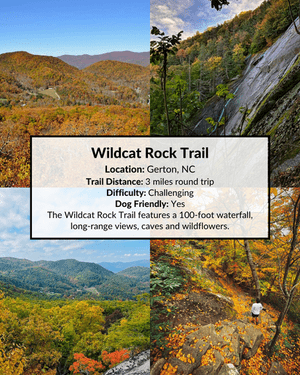 Best Hikes in Gerton, North Carolina — Travel Guides Asheville
