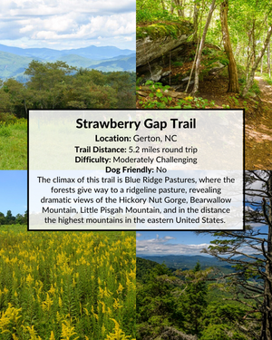 Best Hikes in Gerton, North Carolina — Travel Guides Asheville