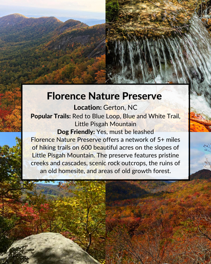 Best Hikes in Gerton, North Carolina — Travel Guides Asheville